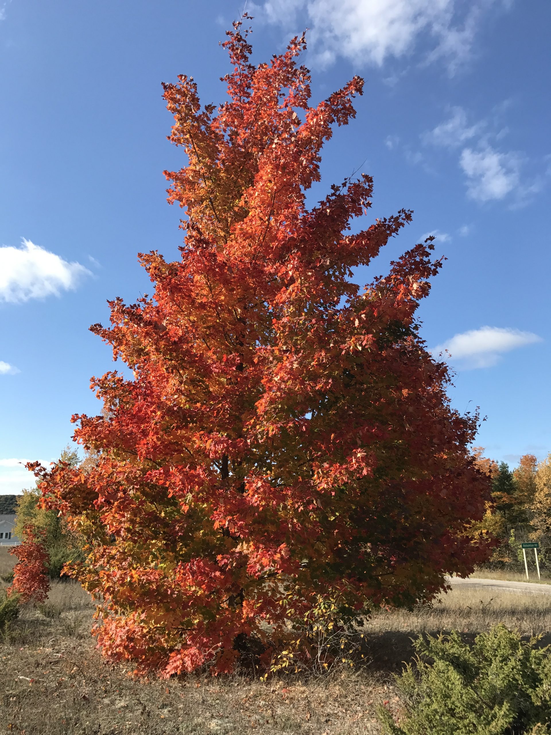 West Michigan Fall Foliage Tour | Dennison Exterior Solutions & Gutter ...