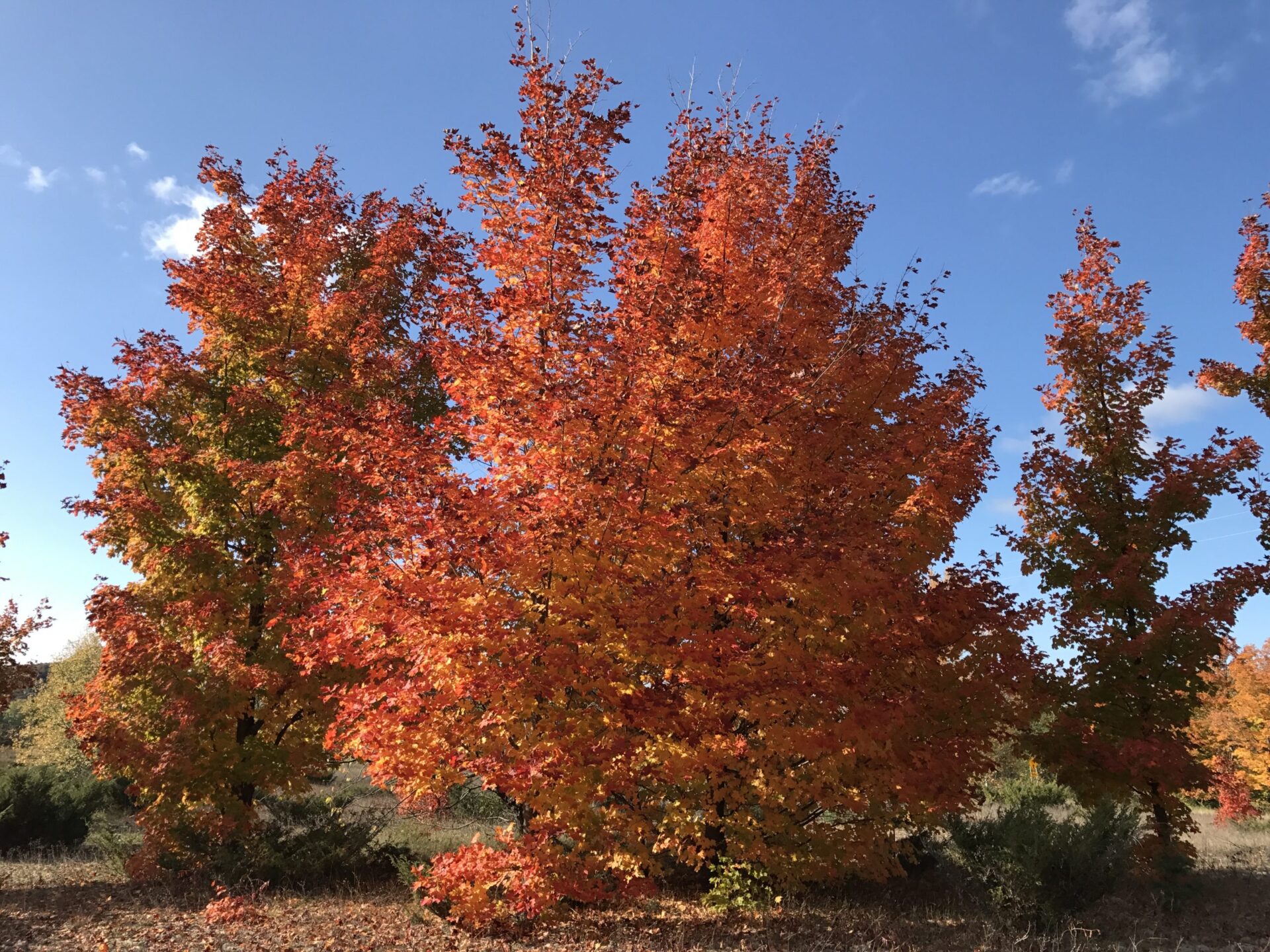 West Michigan Fall Foliage Tour | Dennison Exterior Solutions & Gutter ...