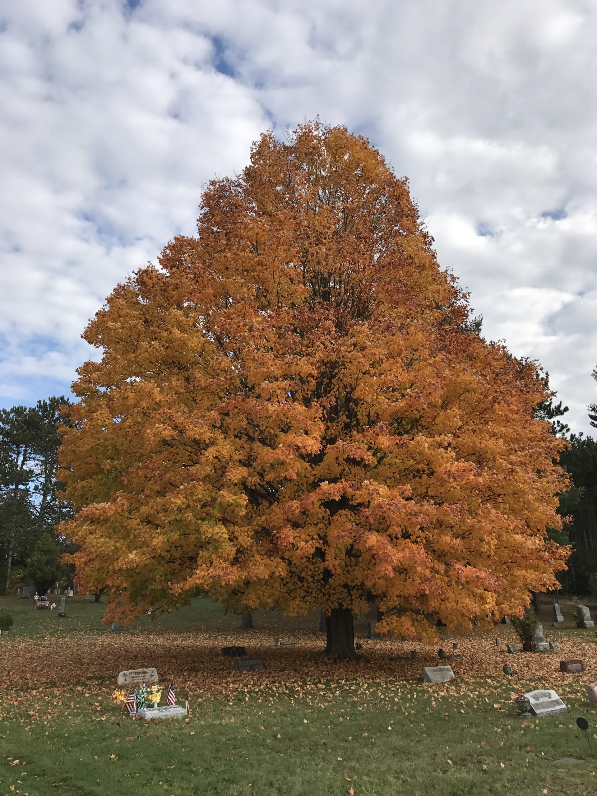 West Michigan Fall Foliage Tour | Dennison Exterior Solutions & Gutter ...