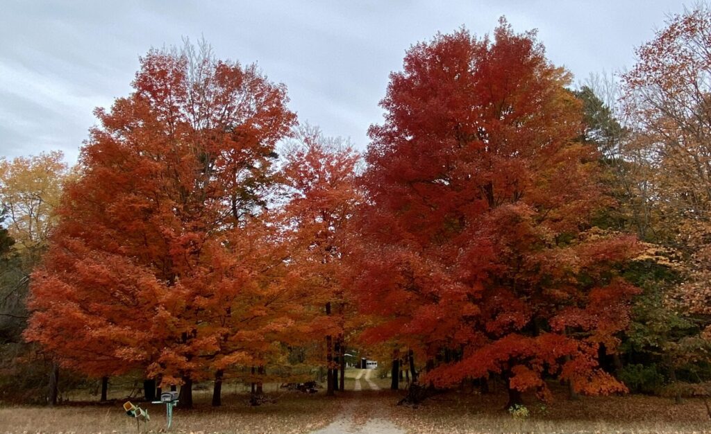 Fall Foliage Tour - West Michigan - Dennison Roofing & Gutter Toppers
